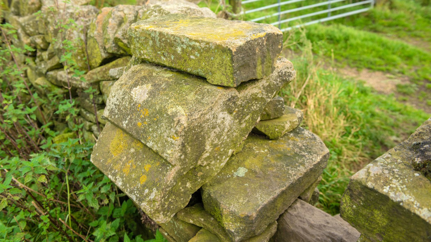 High Sunderland Hall – The Real Wuthering Heights? – Bronte Country ...